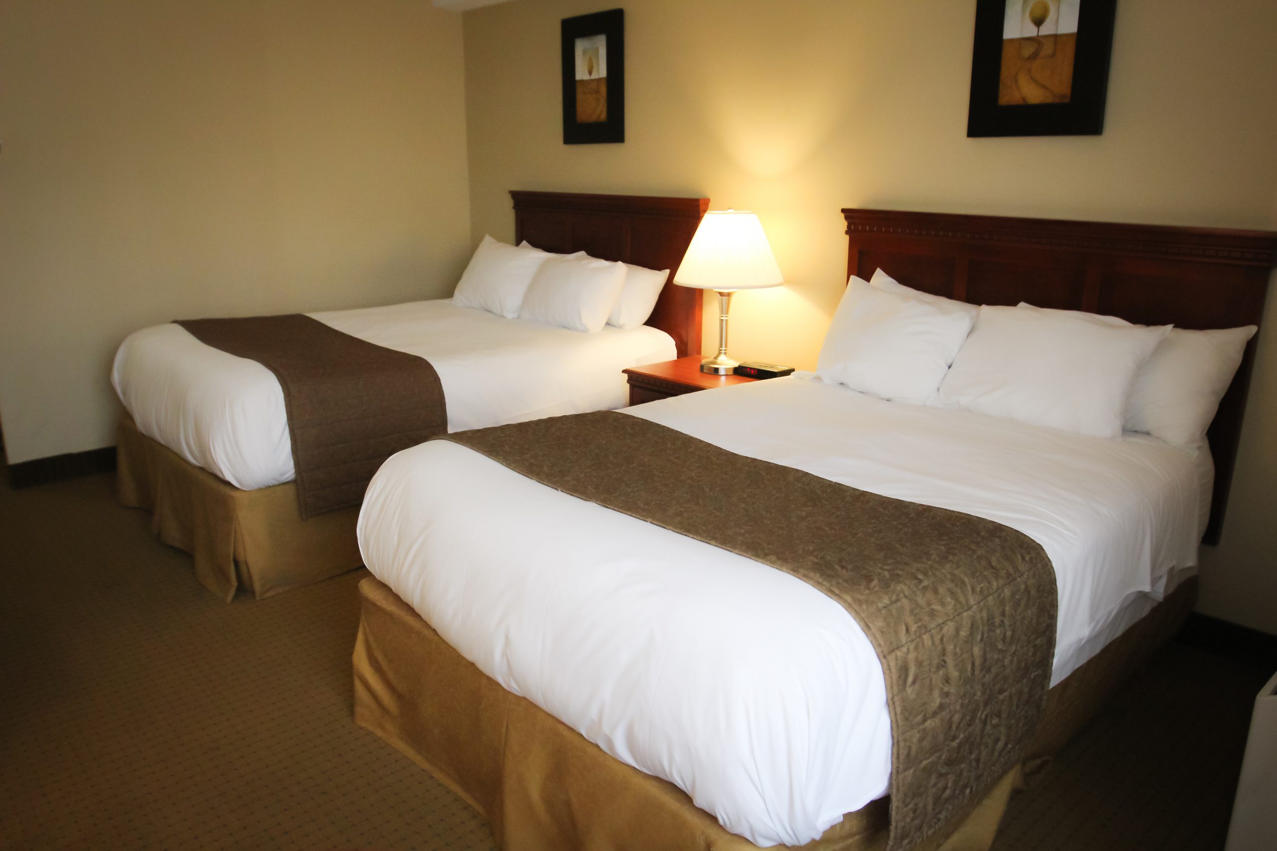 Deluxe Double Room | WelcomINNS Ottawa